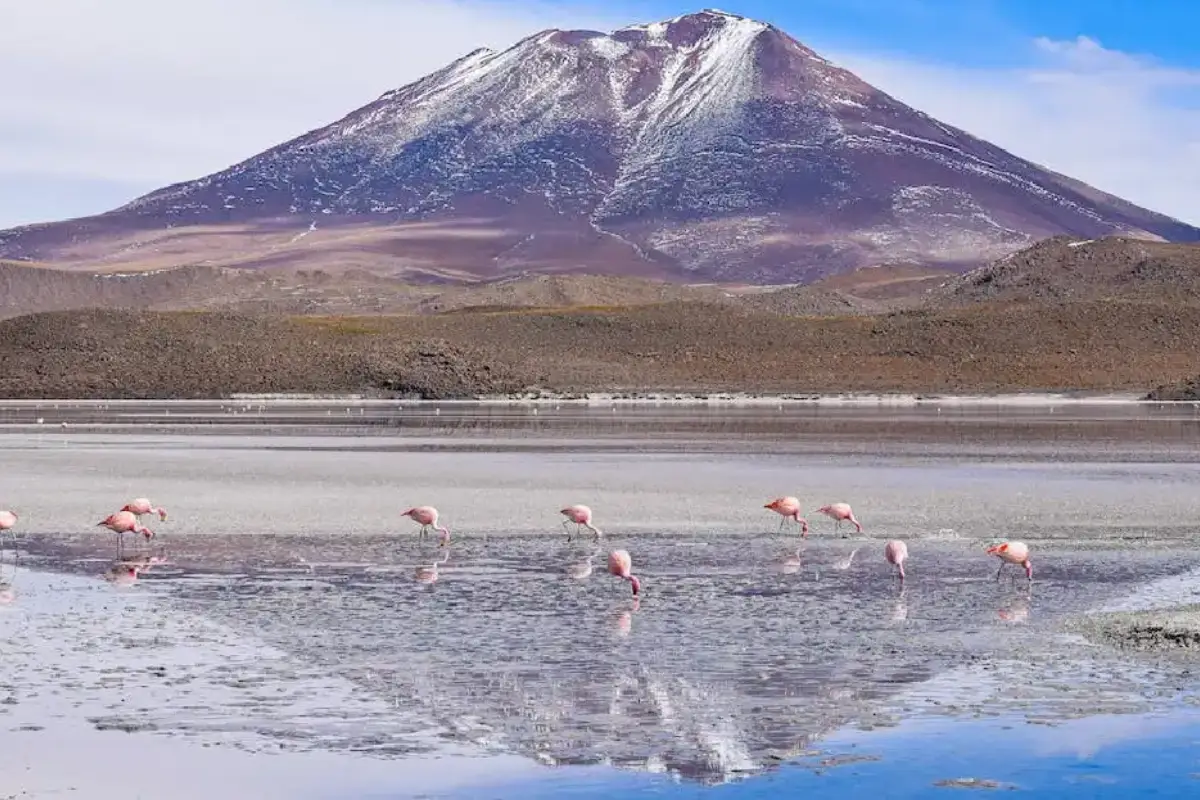 The Ultimate Travel Guide for a Honeymoon in Bolivia